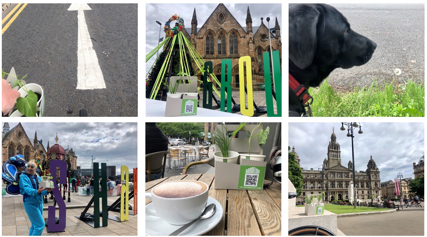 Tree collages – Every Tree Tells a Story